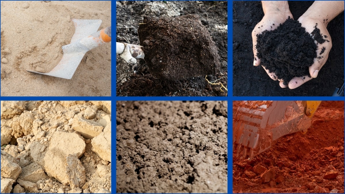 Types of Soil for Building Foundations : From Clay to Sandy Soil